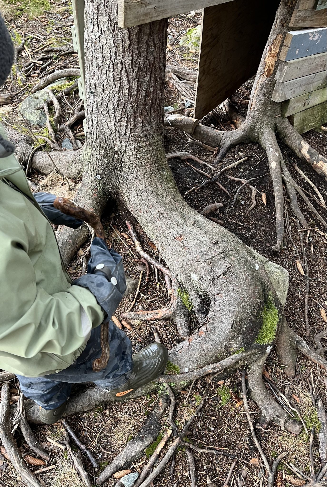 Blogg - Ugletårnet - Karneval - Planetringen Barnehage